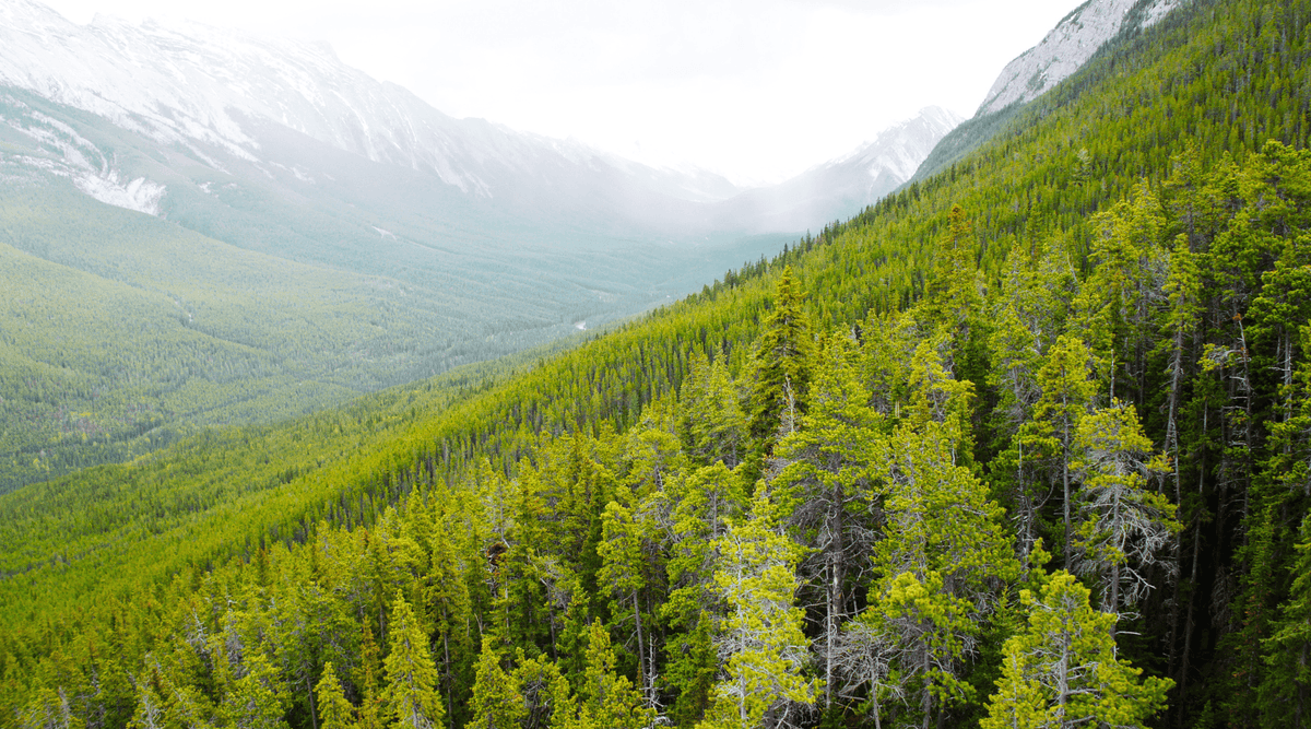 SPOT Gen3 Satellite Tracker Rental | Why It's Best for Adventure – GTC